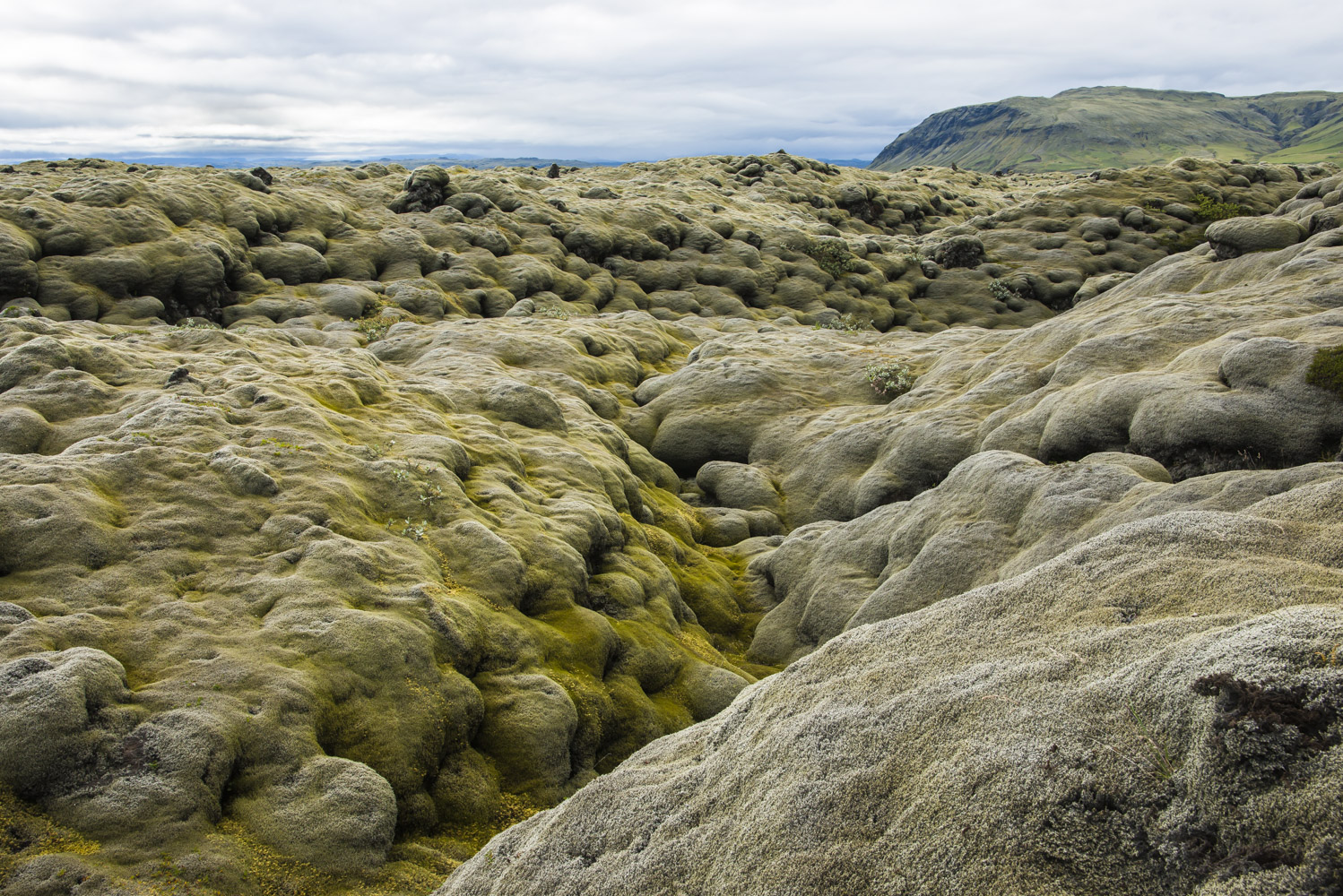 Im Eldhraun Foto & Bild | island, lava, graben Bilder auf fotocommunity