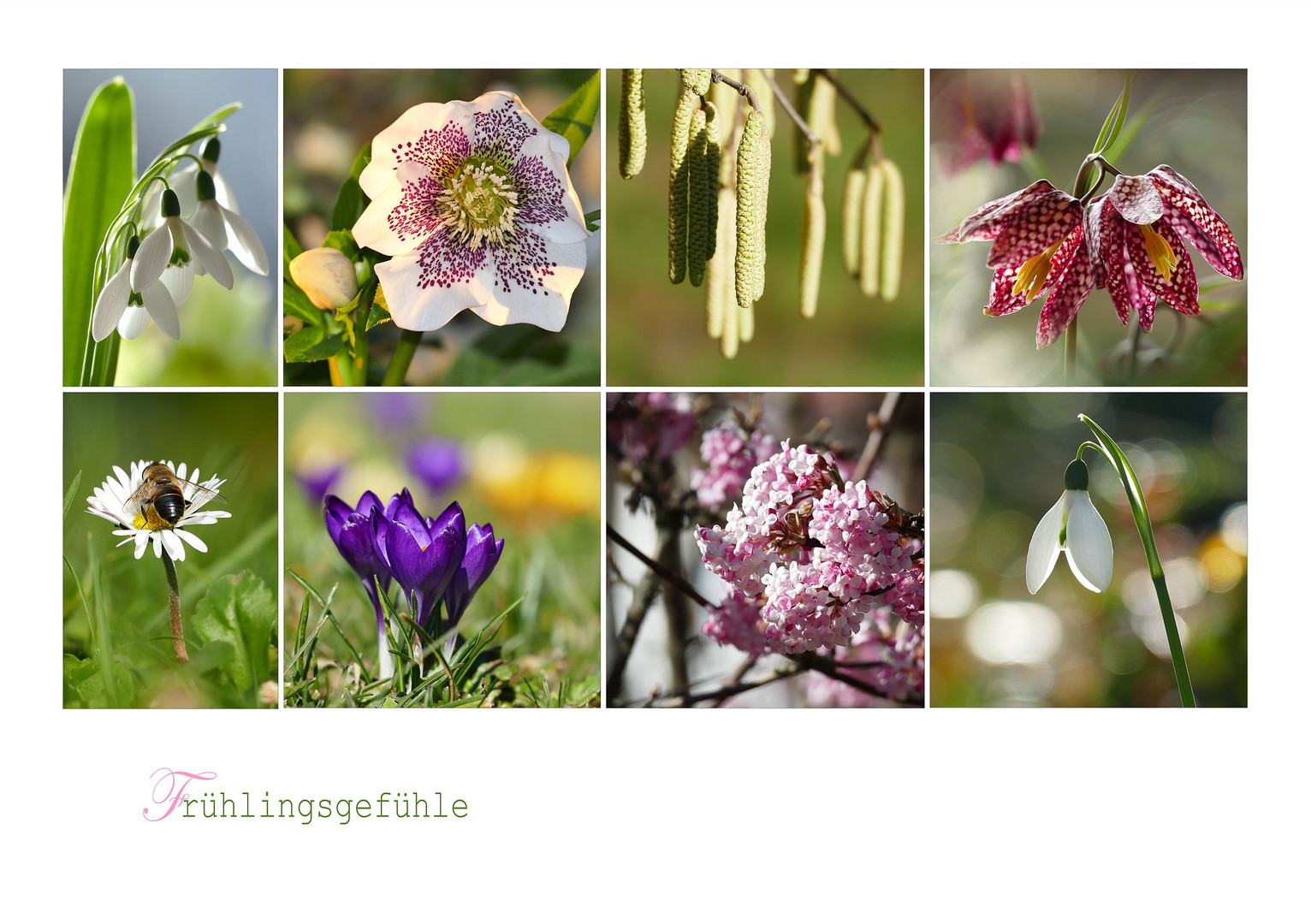 ...im Februar Foto & Bild | februar, sonne, licht Bilder auf fotocommunity