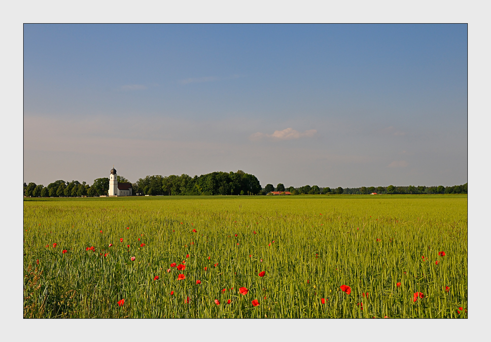 Im Feld ... Foto & Bild | deutschland, europe, bayern Bilder auf ...