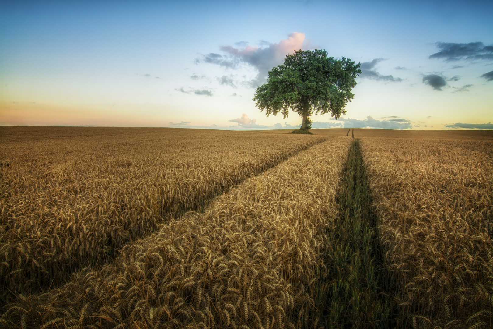 Im Feld Foto & Bild | nikon, sonnenuntergang, sommer Bilder auf ...