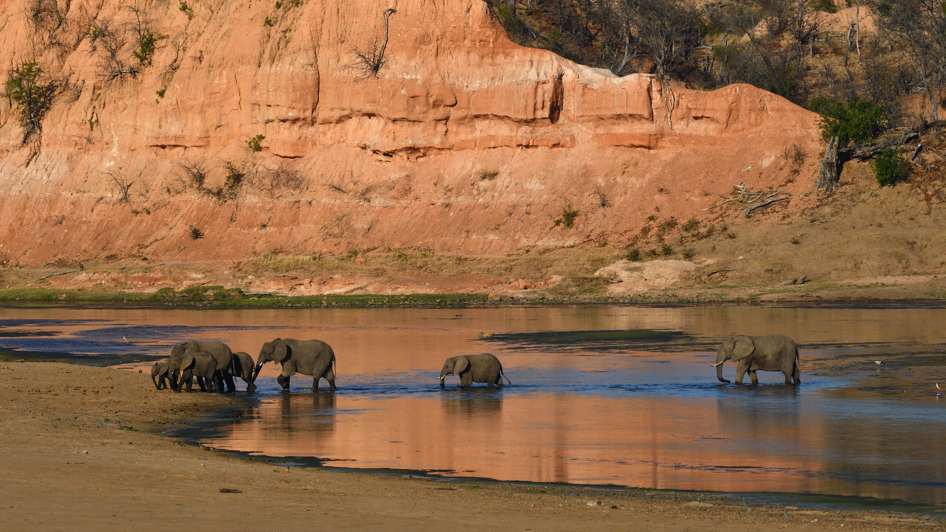 Im Fluß Foto & Bild | world, natur, landschaft Bilder auf fotocommunity