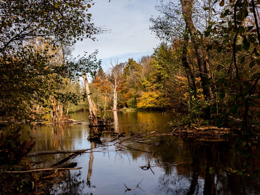 im Fluss Foto & Bild | landschaft, sonstiges, jahreszeiten Bilder auf ...