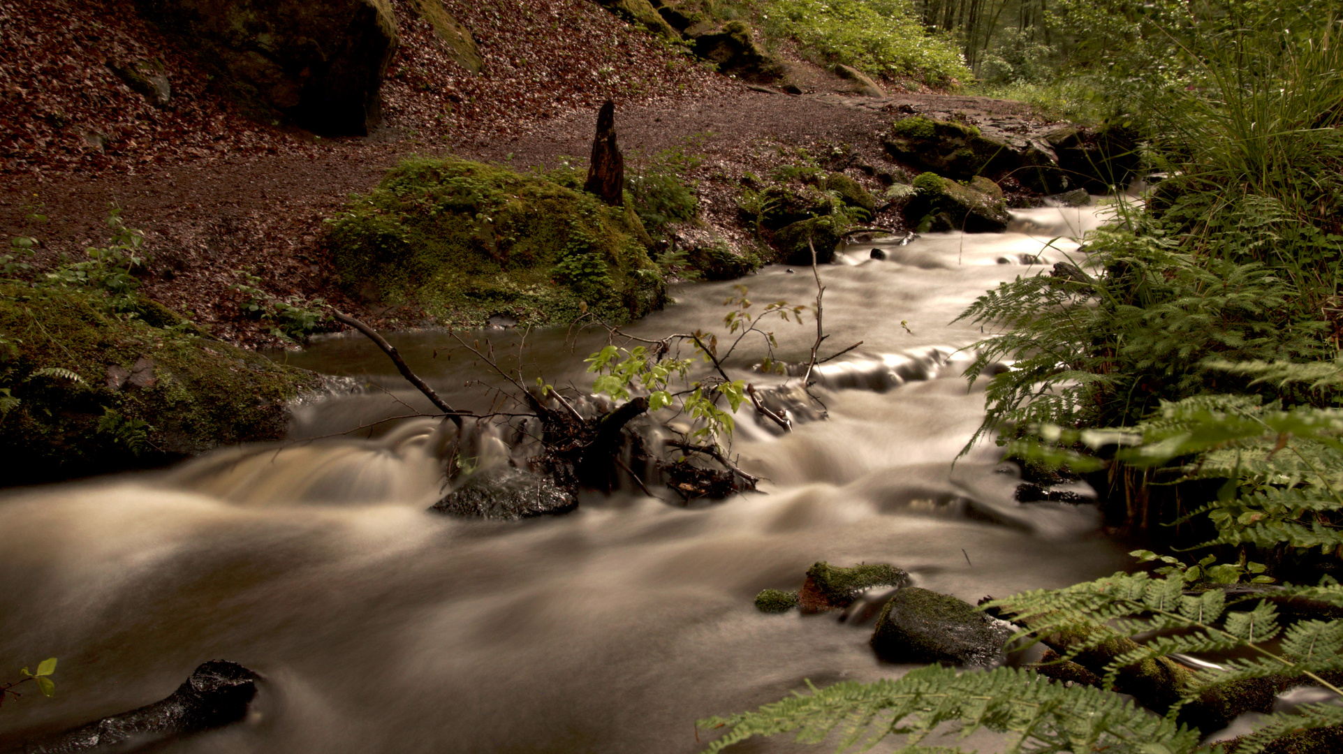 Im Fluss der Zeit Foto & Bild | landschaft, bach, fluss & see, wald ...