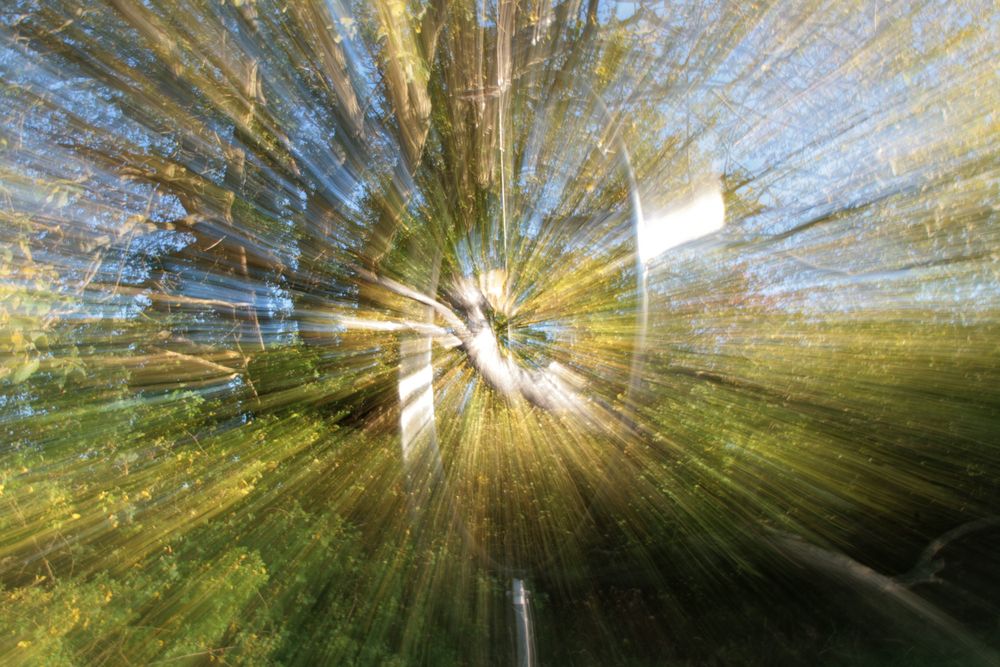 Im Fokus... Foto & Bild | experimente, unschärfe, sonstiges Bilder auf ...