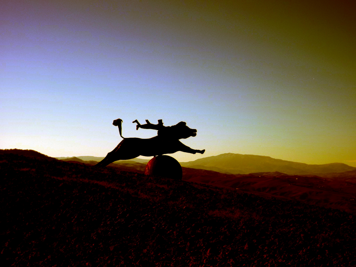 Im freien Fall Foto & Bild | art, italy, spezial Bilder auf fotocommunity