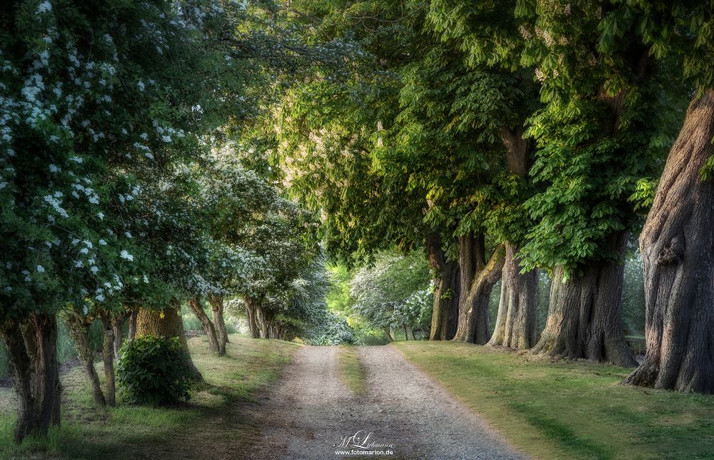 im Frühling Foto & Bild | landschaft, jahreszeiten, frühling Bilder auf fotocommunity