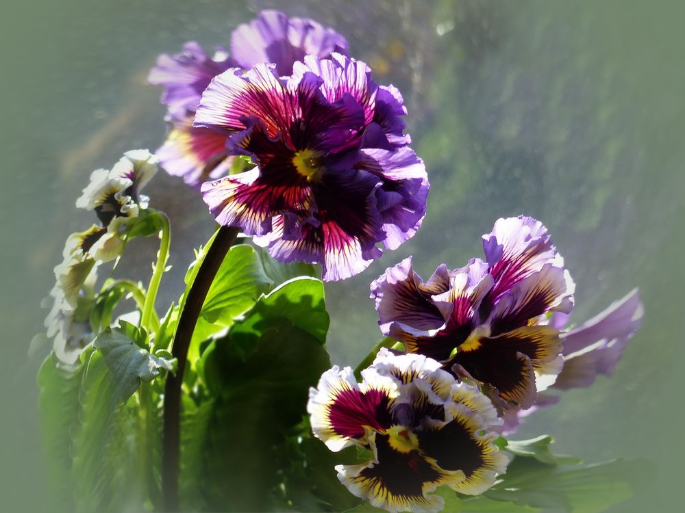 Im Frühlingswind ... Foto & Bild | jahreszeiten, frühling, natur Bilder auf fotocommunity