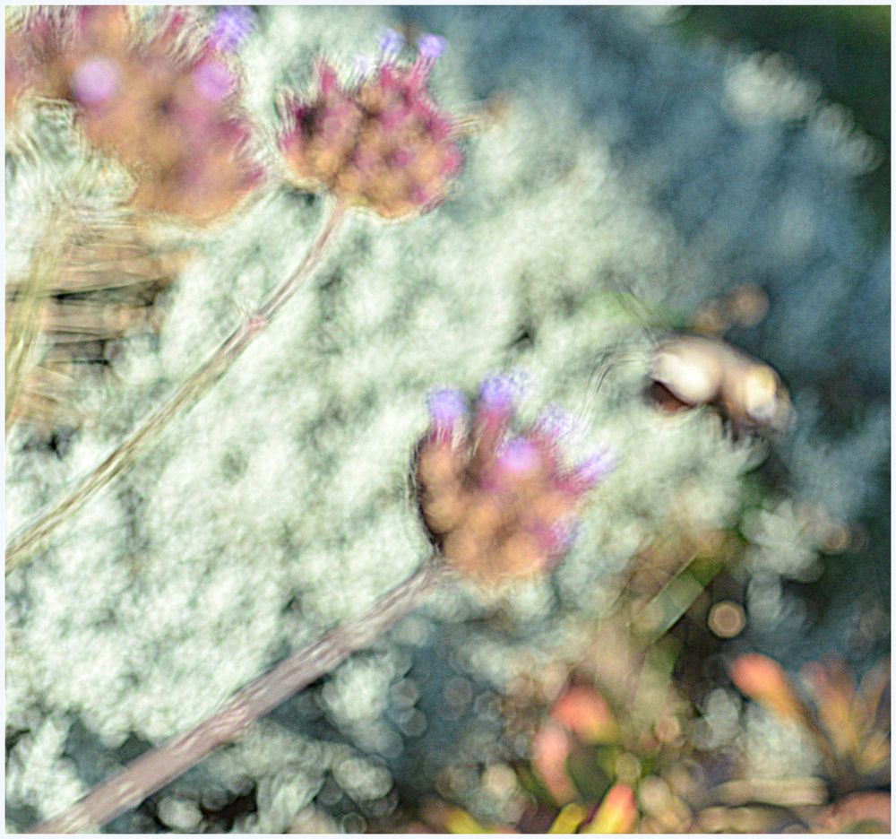 im garten Foto & Bild | bearbeitungs - techniken, bea, bearbeitungs Bilder auf fotocommunity