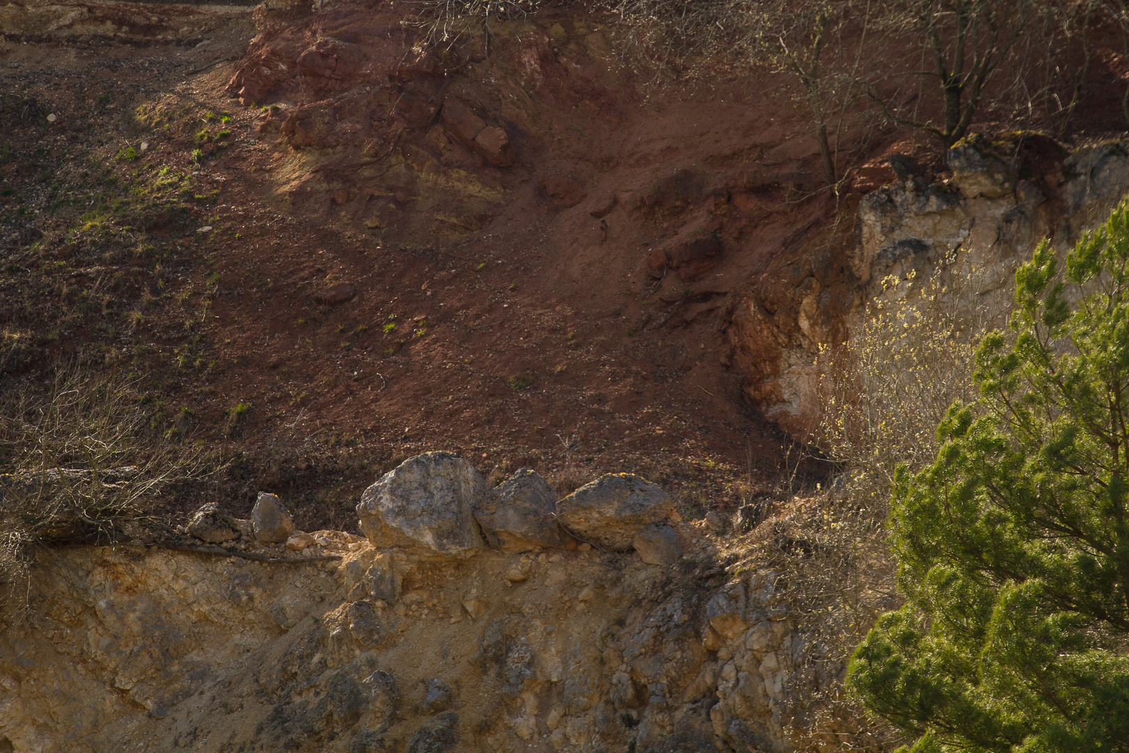 "Im Geotop 'Lindle'..." Foto & Bild | fotos, geopark, natur Bilder auf ...