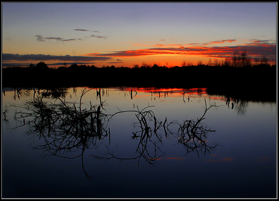 Im Hochmoor I Foto & Bild | landschaft, moor, verschiedenes Bilder auf ...