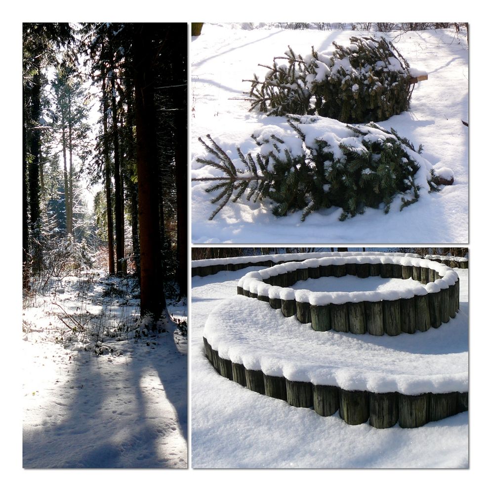 im Januar Foto & Bild | jahreszeiten, winter, bayern Bilder auf fotocommunity