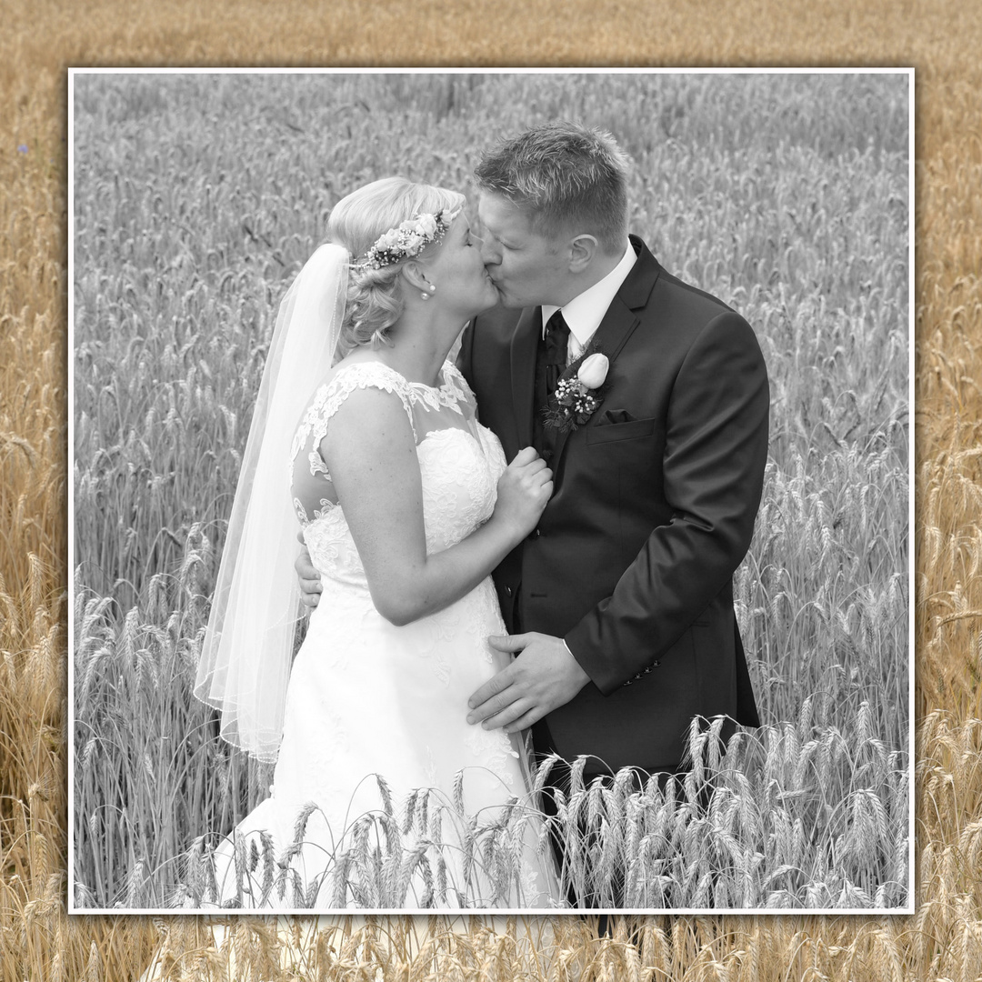 Im Kornfeld Foto & Bild | erwachsene menschen, hochzeit, gruppen Bilder auf fotocommunity