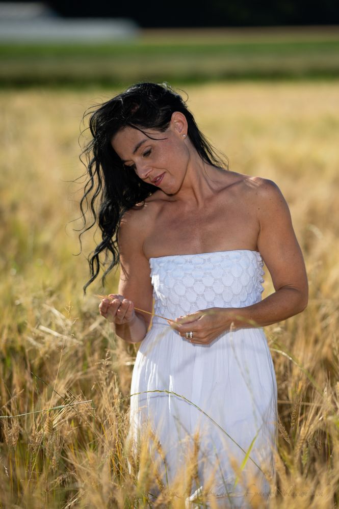 Im Kornfeld Foto & Bild | outdoor, portrait, frau Bilder auf fotocommunity