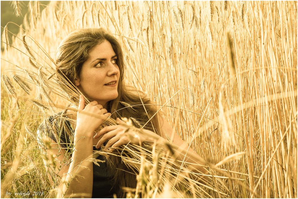 im Kornfeld colour Foto & Bild | portrait, portrait frauen, outdoor Bilder auf fotocommunity