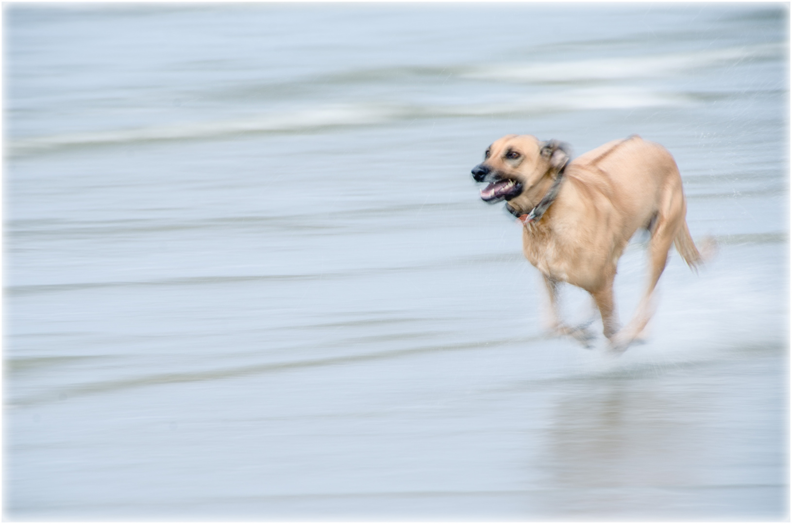 Im Lauf ... Foto & Bild | art, spezial, fotocommunity Bilder auf ...