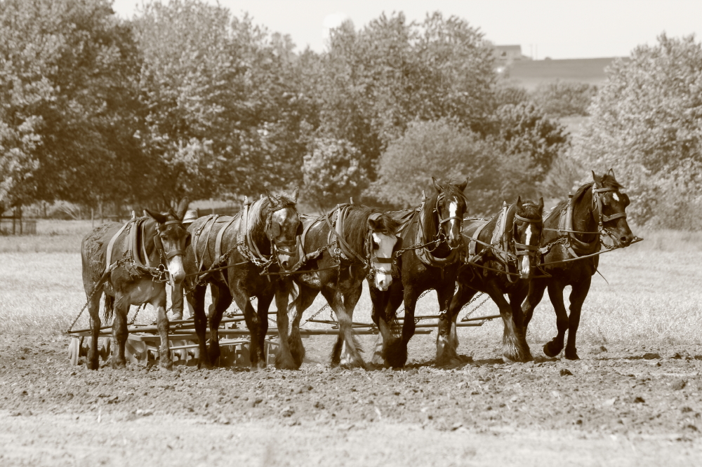 Im Märzen der Bauer... Foto & Bild | usa, world, frucht Bilder auf ...