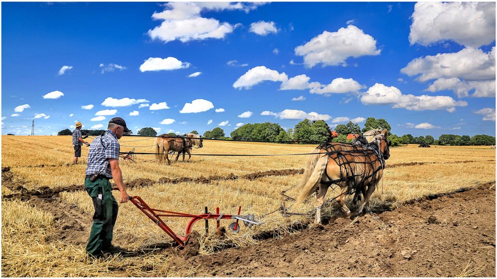 im Märzen der Bauer ....... Foto & Bild | outdoor, felder, landschaft ...