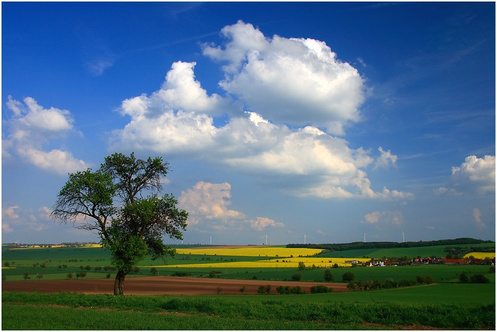 _ Im Mai _ Foto & Bild | landschaft, Äcker, felder & wiesen, natur Bilder auf fotocommunity