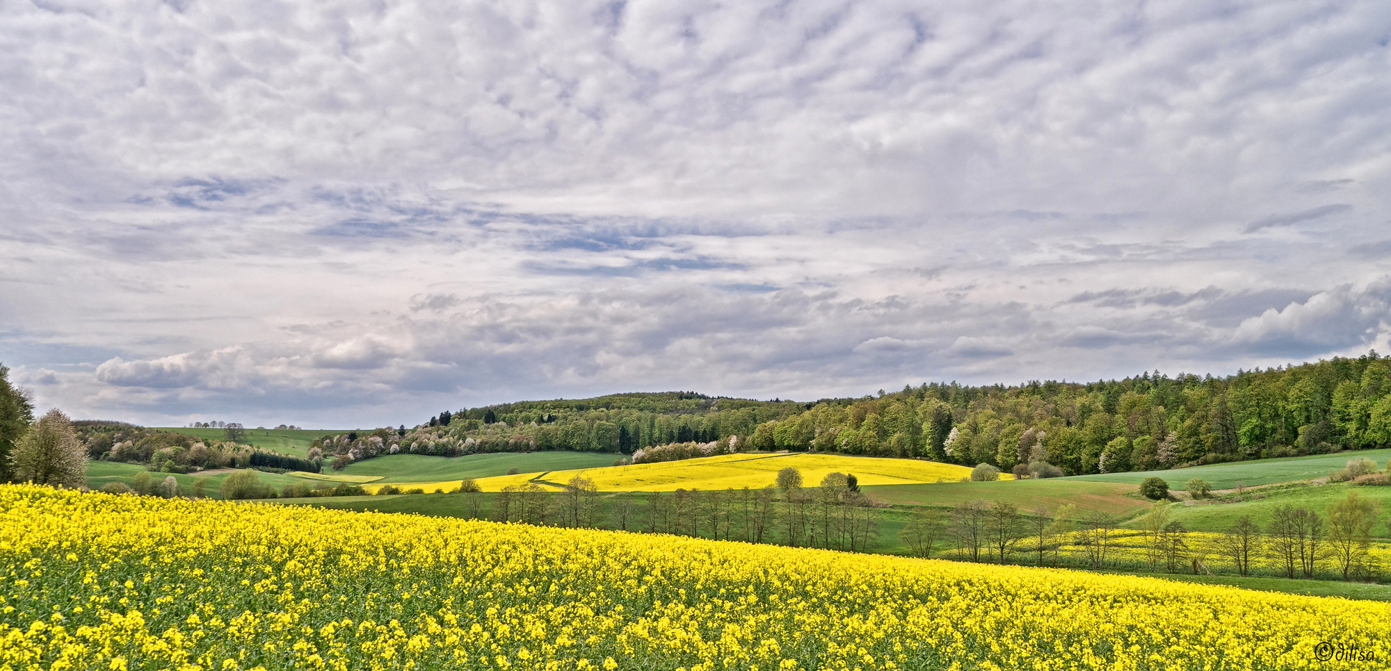 im Mai Foto & Bild | landschaft, mai, frühling Bilder auf fotocommunity