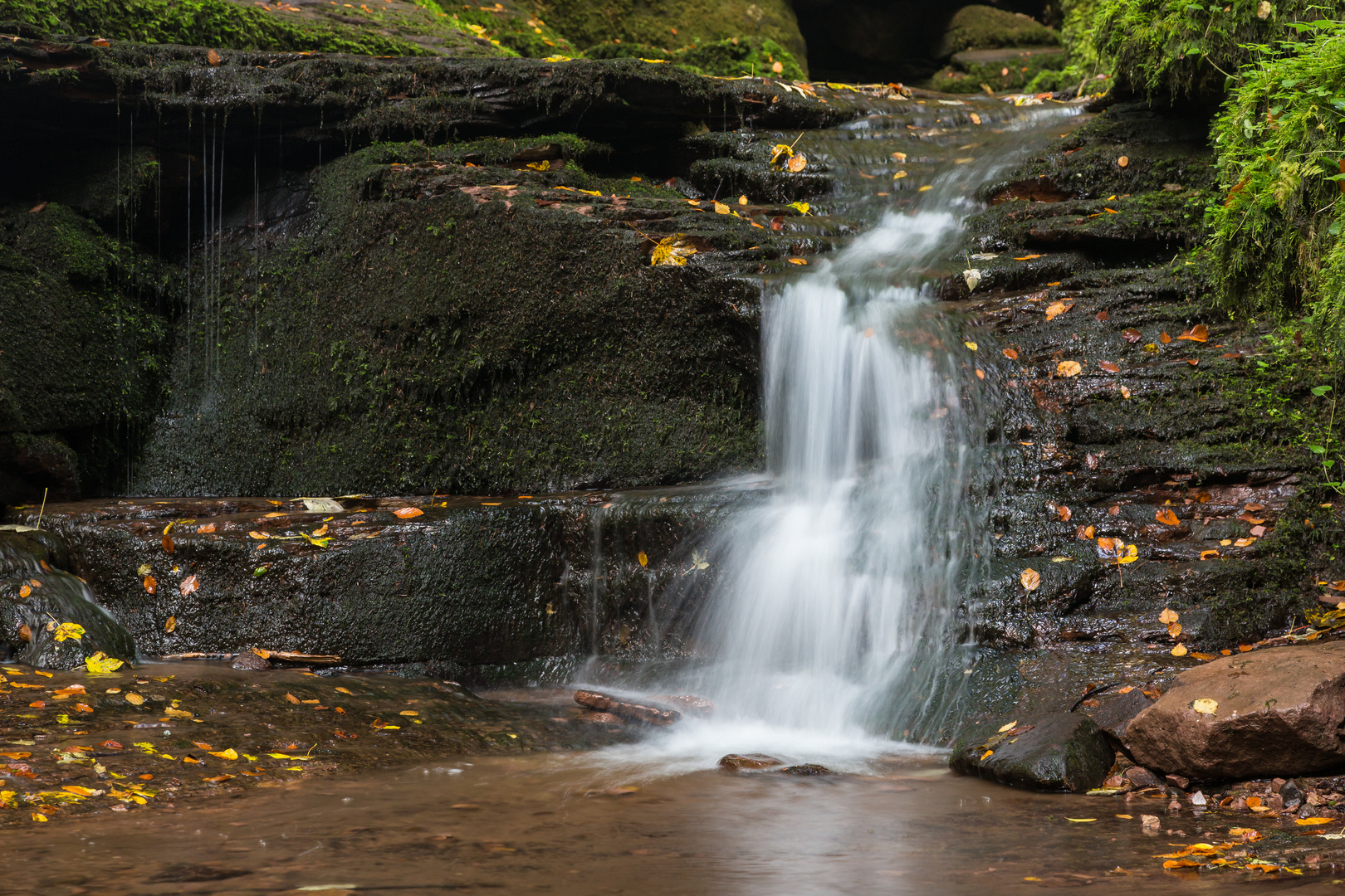 Im Monbachtal Foto & Bild | landschaft, bach, fluss & see, bachläufe ...