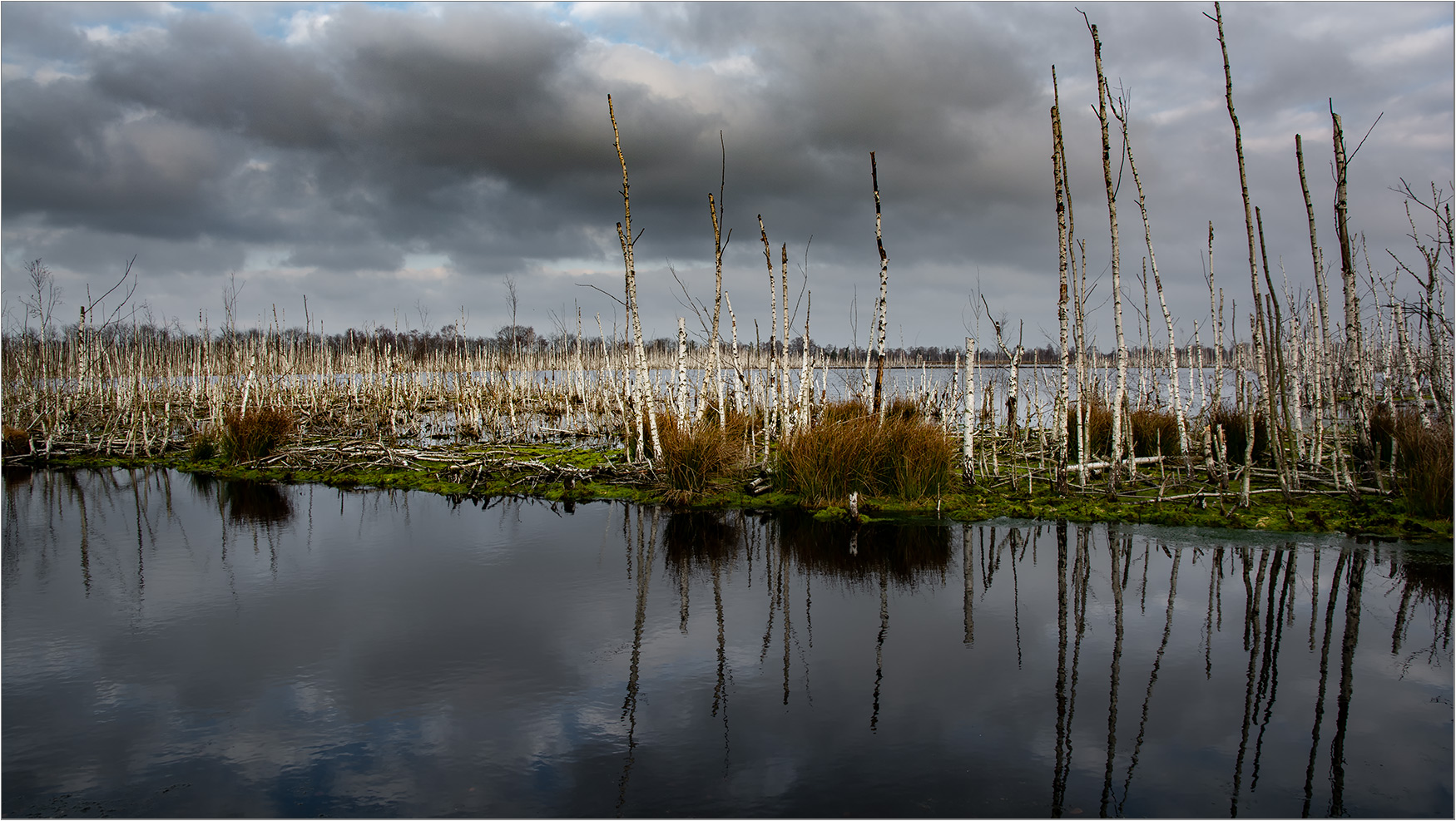 Im Moor . . . Foto & Bild | landschaft, jahreszeiten, moor Bilder auf ...