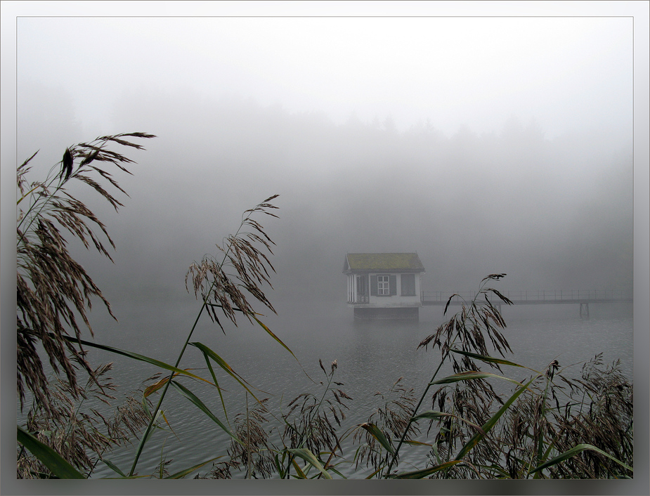 Im Nebel... Foto & Bild | nebelstimmungen, wetter, natur Bilder auf ...