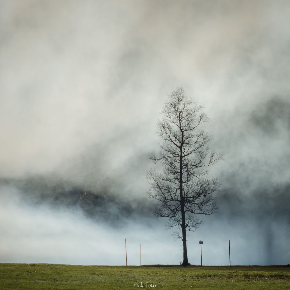 im nebel ... Foto & Bild | landschaft, jahreszeiten, herbst Bilder auf fotocommunity