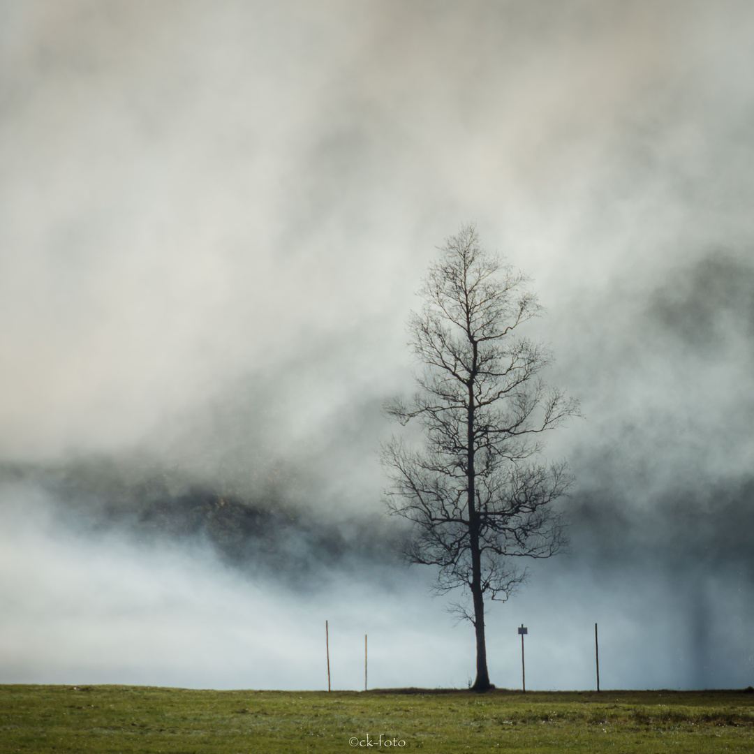 im nebel ... Foto & Bild | landschaft, jahreszeiten, herbst Bilder auf fotocommunity