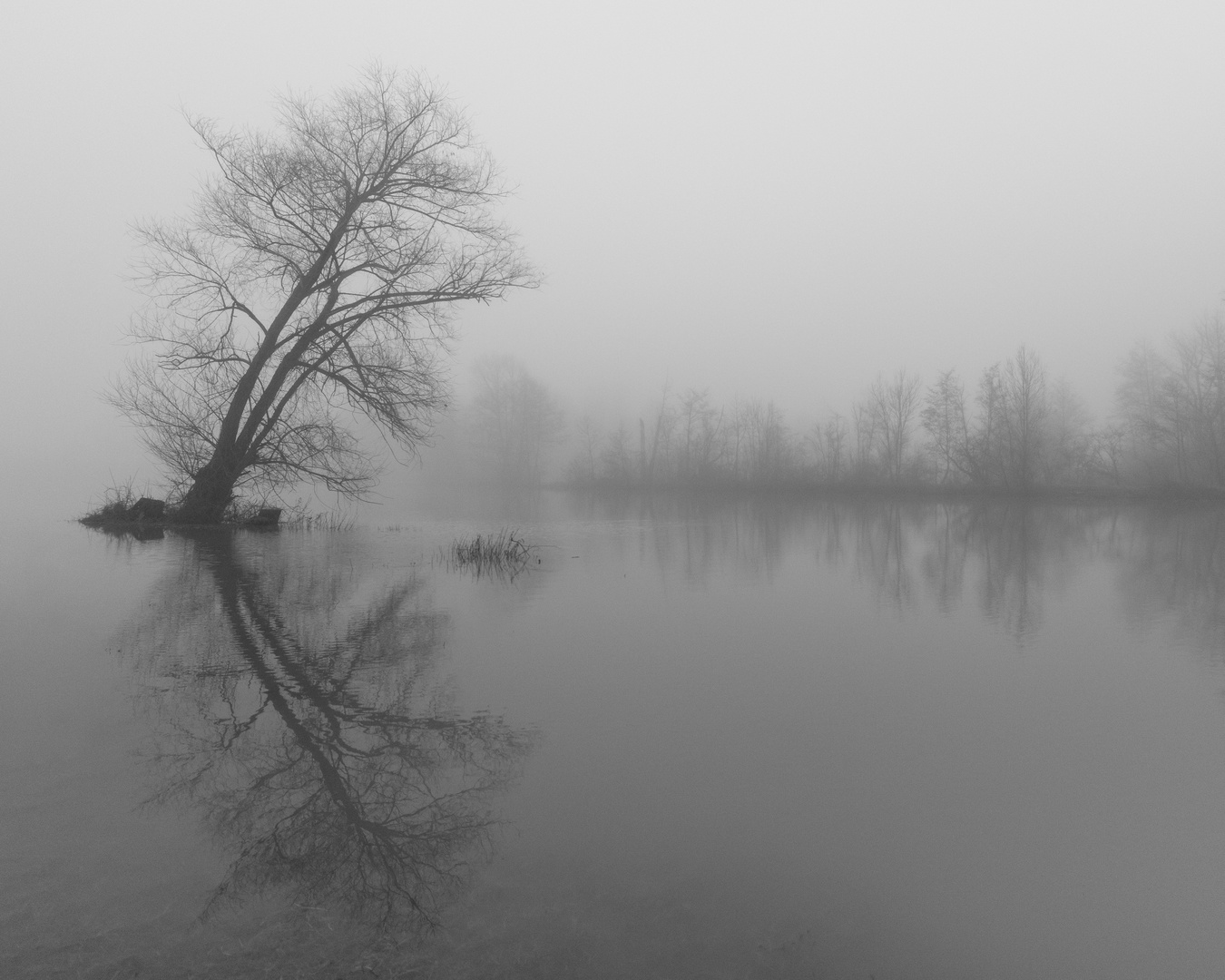 Im Nebel Foto & Bild | landschaft, bach, fluss & see, see, teich & tümpel Bilder auf fotocommunity