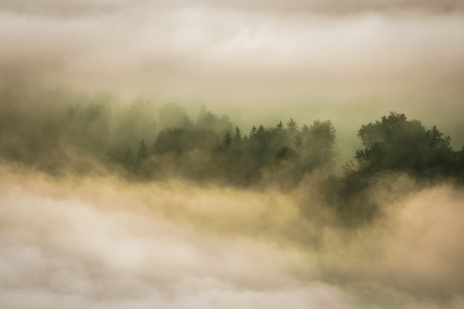 im Nebel Foto & Bild | landschaft, jahreszeiten, herbst Bilder auf fotocommunity