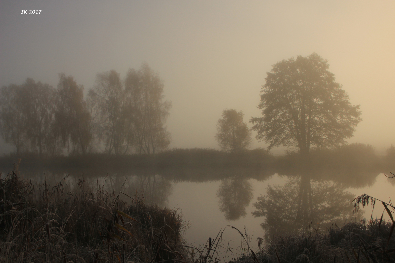 Im Nebel.... Foto & Bild | nebelstimmungen, wetter, jahreszeiten Bilder auf fotocommunity