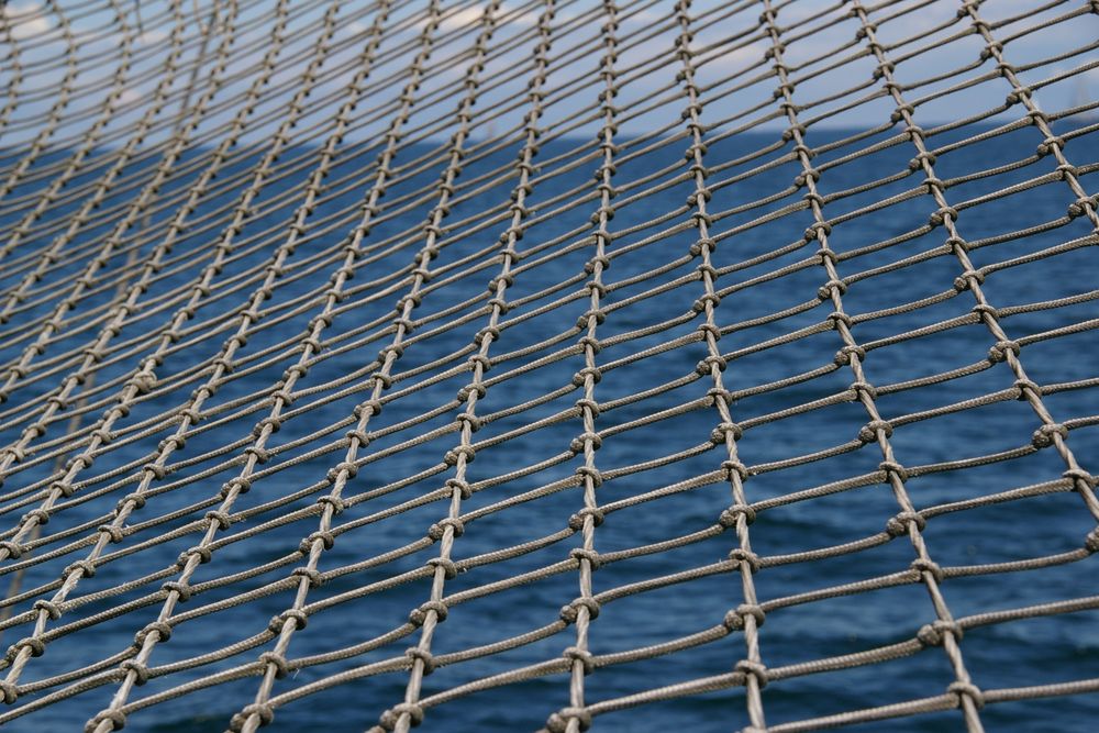 Im Netz Foto & Bild | sonstiges, natur und technik, natur Bilder auf ...