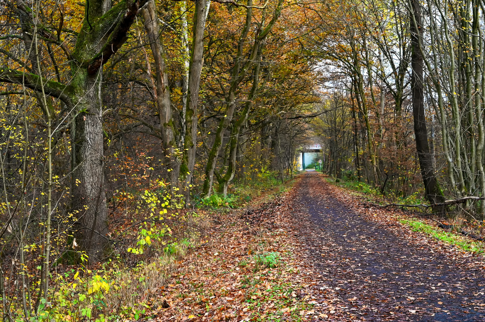 Im November.... Foto & Bild | landschaft, jahreszeiten, herbst Bilder ...