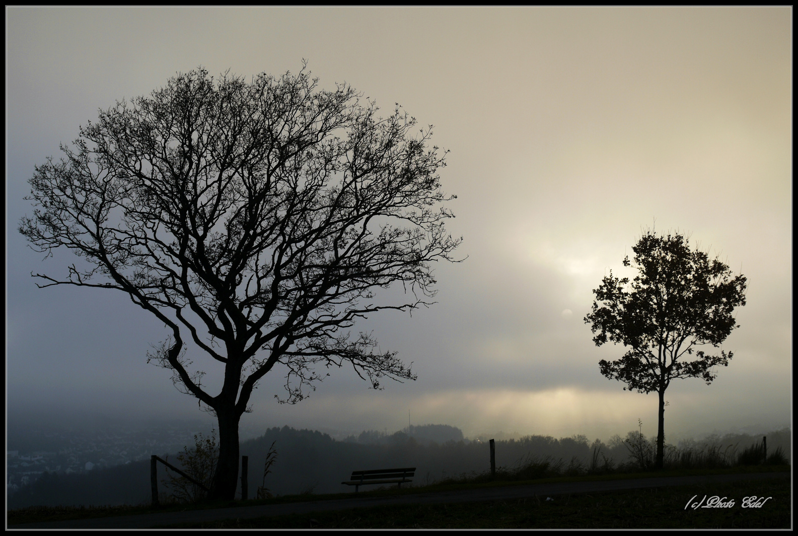 Im November Foto & Bild | jahreszeiten, herbst, natur Bilder auf ...