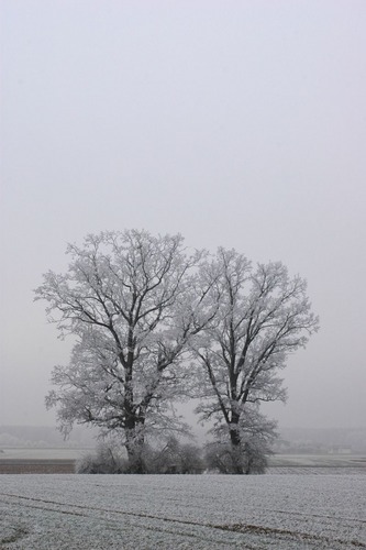 Im November Foto & Bild | jahreszeiten, winter, natur Bilder auf fotocommunity