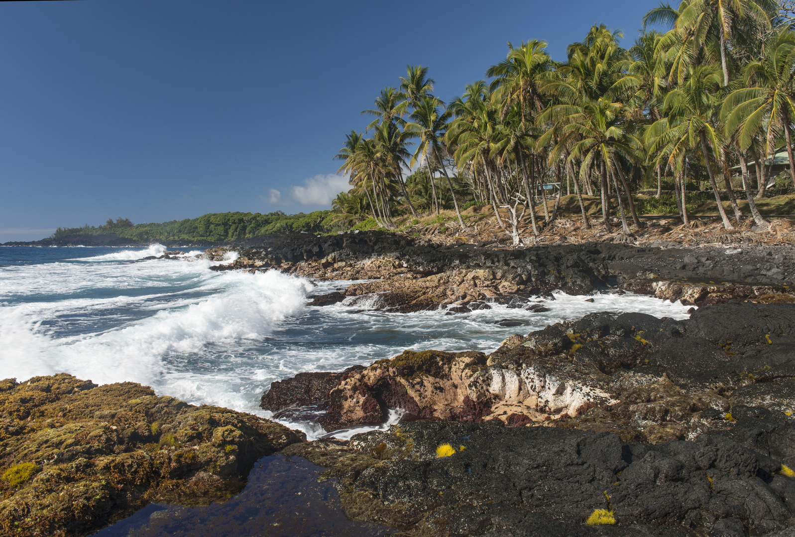 Im Paradies Foto & Bild | north america, united states, hawaii Bilder ...