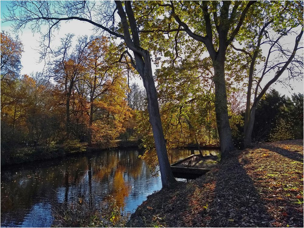 Im Park Foto & Bild | landschaft, jahreszeiten, herbst Bilder auf fotocommunity
