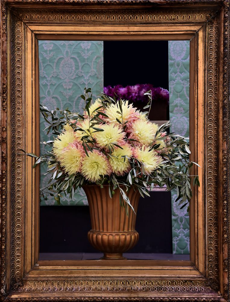 Im Rahmen Foto & Bild | makro, natur, pflanzen Bilder auf fotocommunity