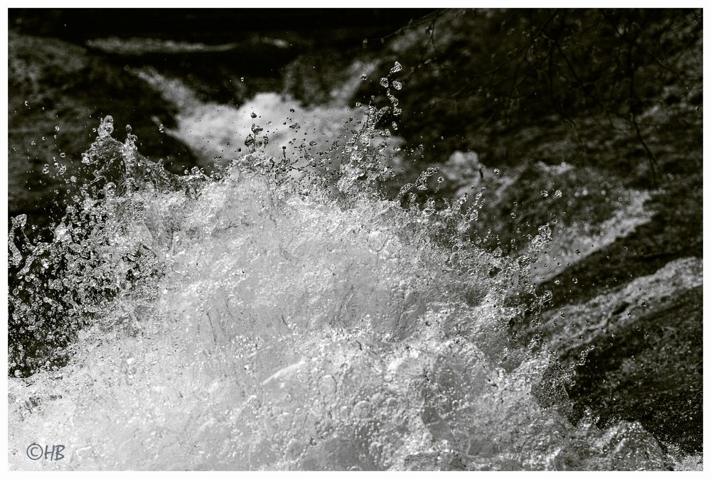 im Rausch Foto & Bild | landschaft & mehr, natur Bilder auf fotocommunity