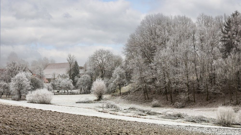 im Reifkleid 01 Foto & Bild | landschaft, jahreszeiten, winter Bilder auf fotocommunity