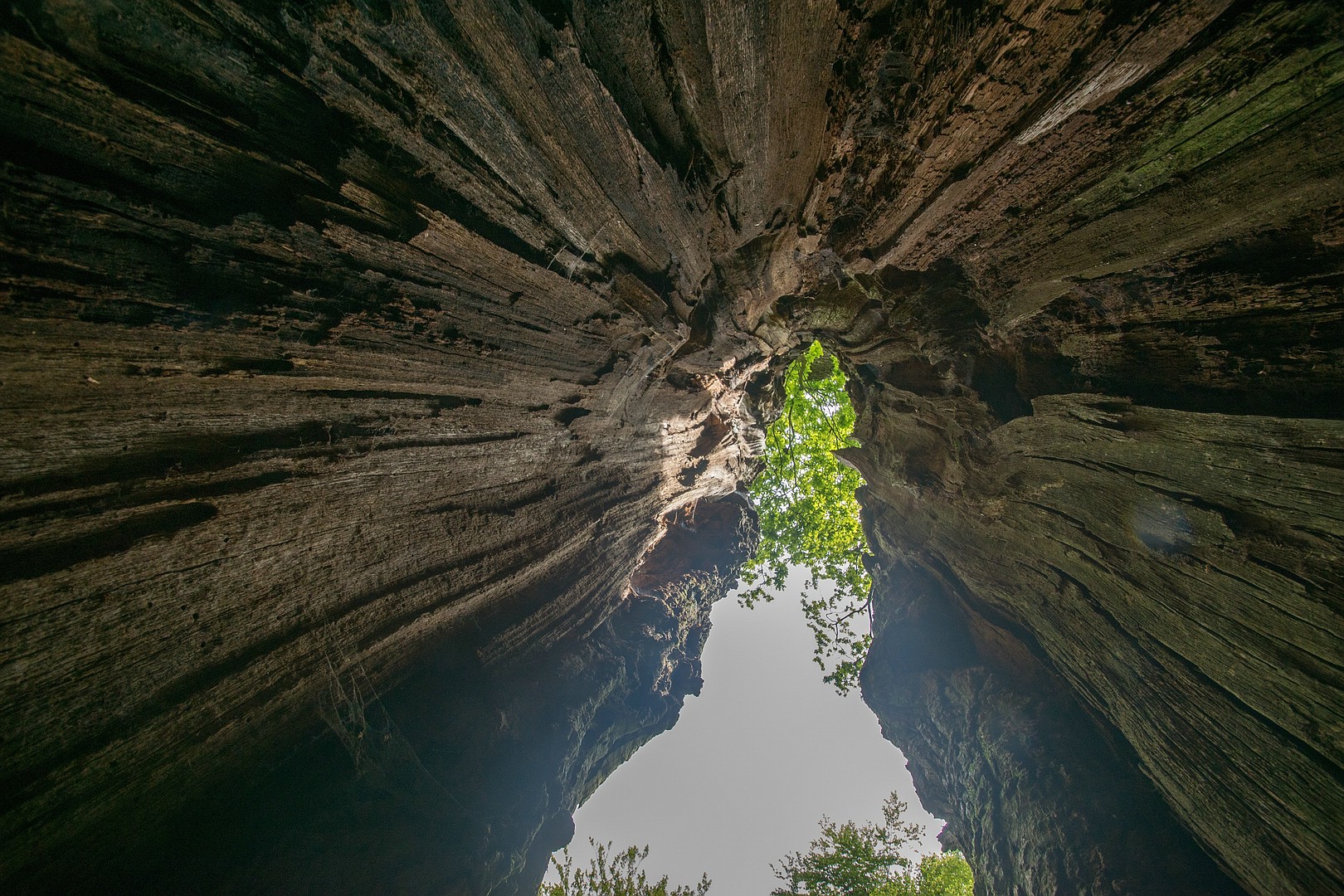 Im Reinhardswald Foto & Bild | deutschland, europe, hessen Bilder auf ...