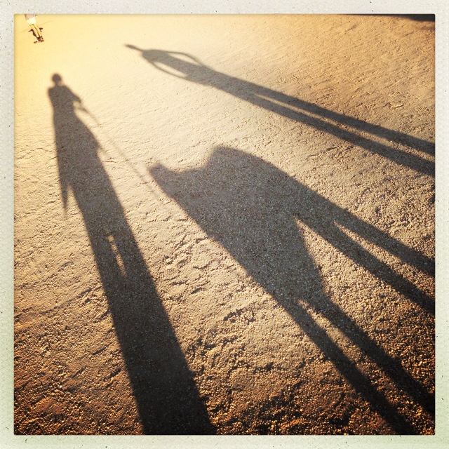 im schatten Foto & Bild | streetfotografie mit menschen, menschen ...