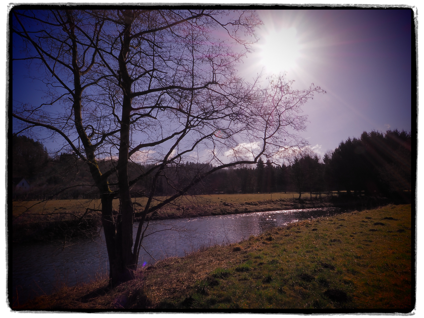 Im schönen Siegtal fliest...die Sieg...kannichjaauchnichtsfür. Foto ...