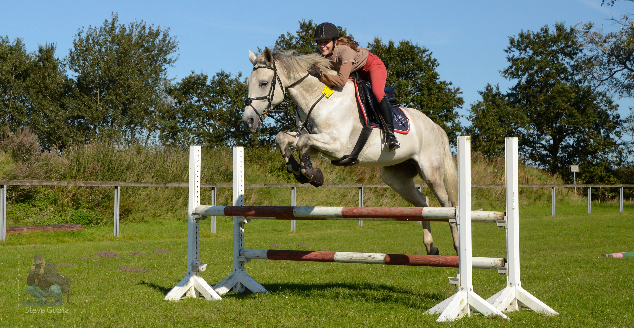 Im Sprung Foto & Bild | sport, sport mit tieren, pferdesport Bilder auf ...