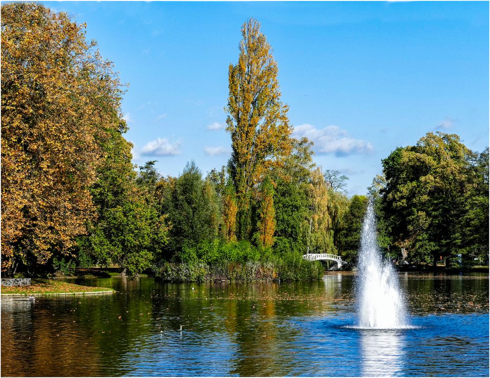 Im Stadtpark Foto & Bild | park, world, bäume Bilder auf fotocommunity