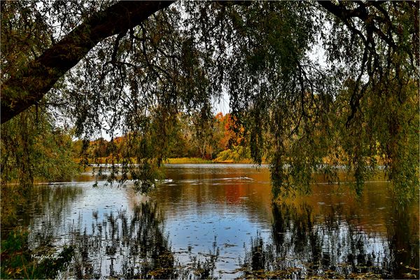 Stralsund Bilder & Fotos