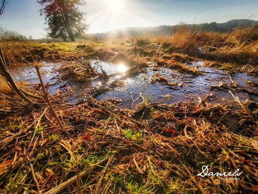 Landschaft, Landschaftsbilder, Landschaftsfotografie