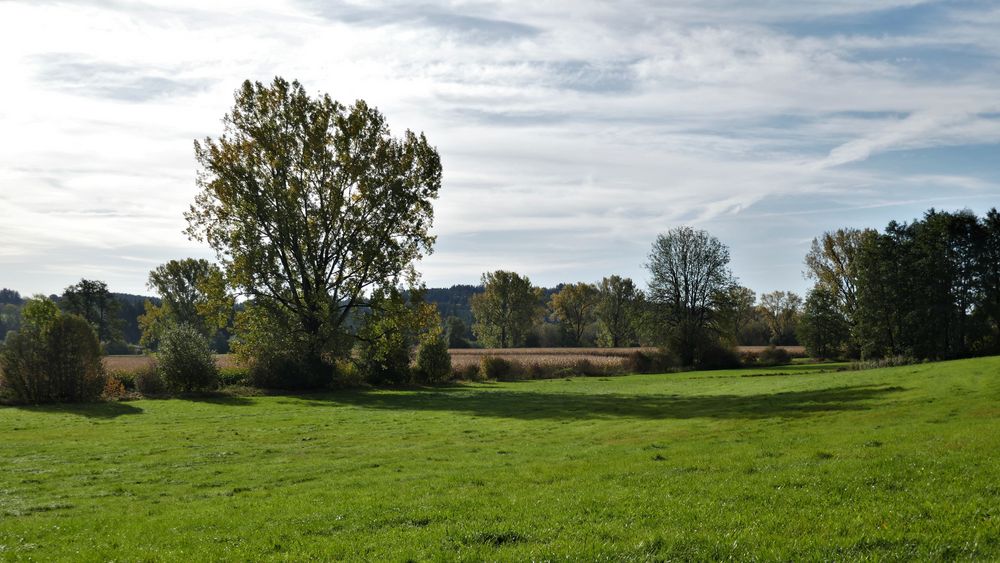 Im Tal der Mindel Foto & Bild | world, spezial, baum Bilder auf ...