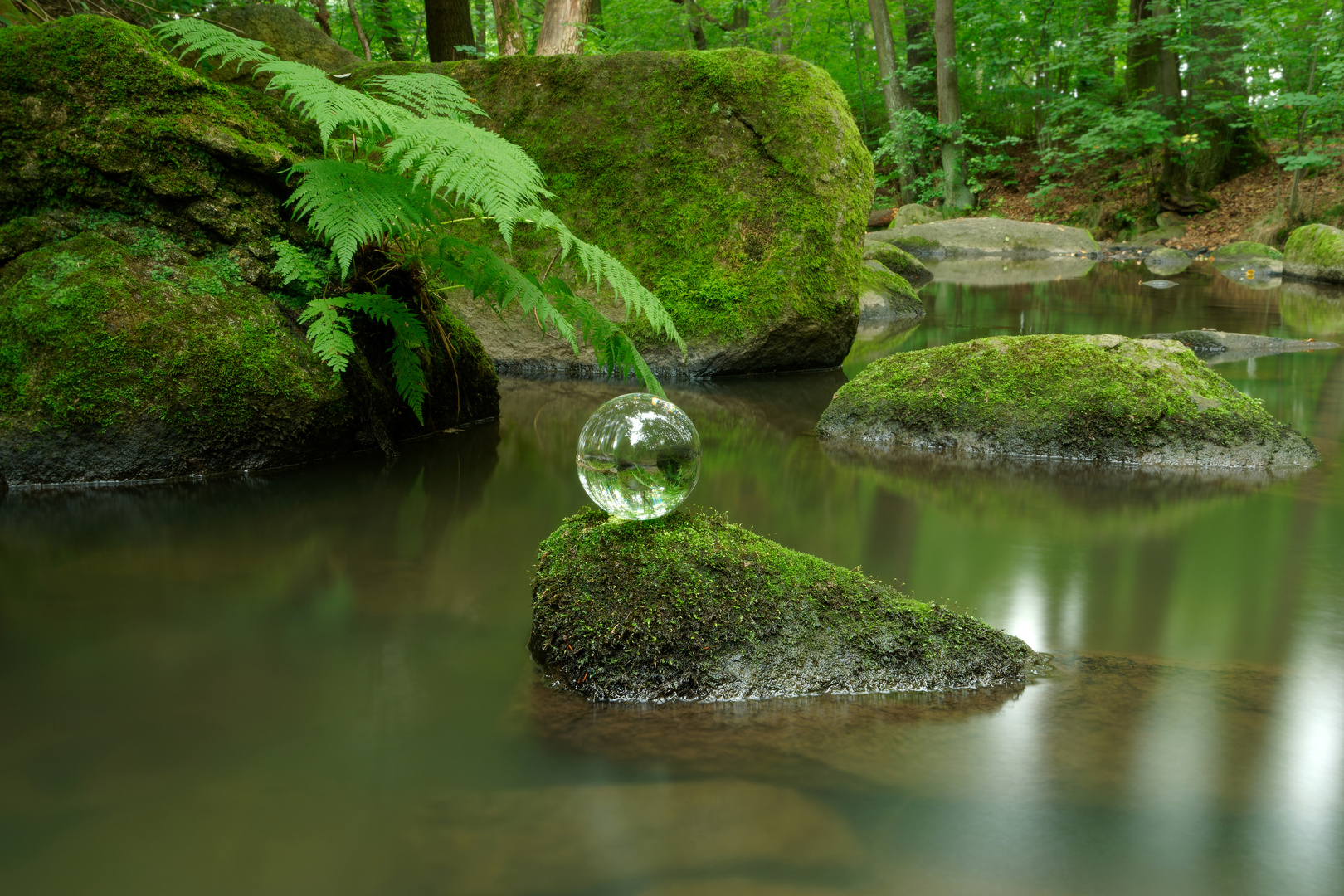 Im "Urwaldbach" - Langzeitbelichtung Foto & Bild | fotos, spezial, wald Bilder auf fotocommunity