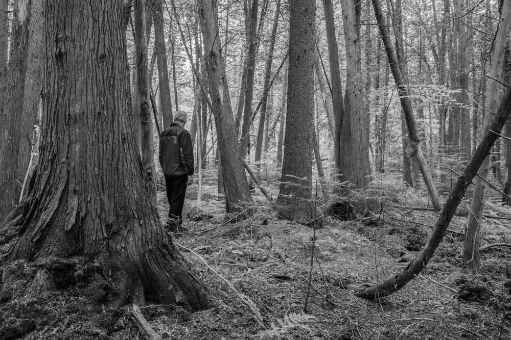 Im Wald Foto & Bild | erwachsene menschen, alltagsereignisse, menschen ... Im Wald Foto & Bild | erwachsene menschen, alltagsereignisse, menschen ...